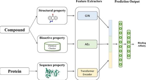 Pla More A Proteinligand Binding Affinity Prediction Model Via Comprehensive Molecular