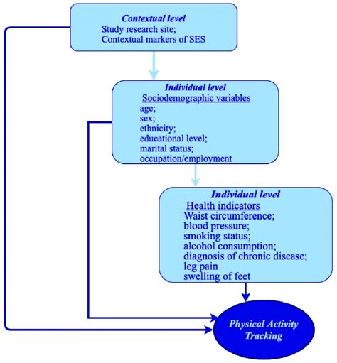 Conceptual Multi Level Framework Of Exposure Effects On Physical