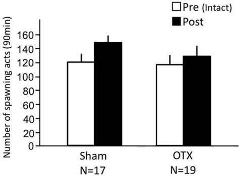 Effects Of Olfactory Tract Section On Female Sexual Behavior In Female Download Scientific