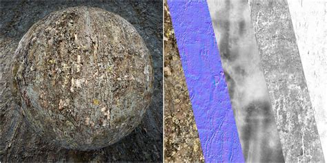 Generating PBR Tree Bark Textures With Photogrammetry