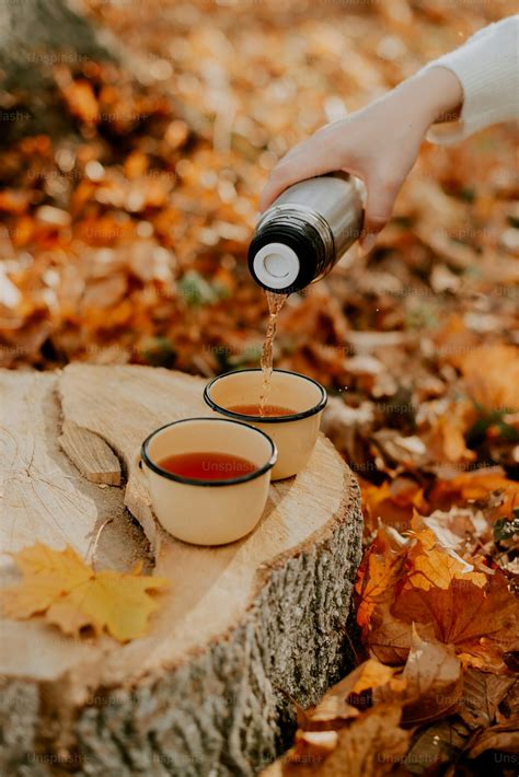 나무 그루터기에 있는 컵에 차를 붓는 사람 사진 Unsplash의 과일 이미지