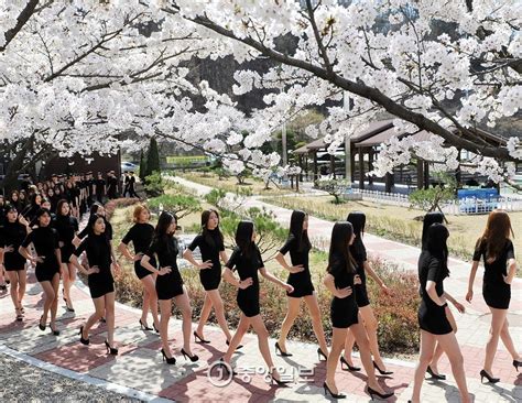 대학 모델과 야외수업  인스티즈 Instiz 이슈 카테고리