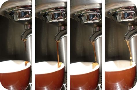 5 Tips For Perfect Espresso Corridor Kitchen