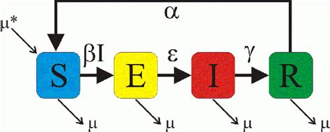 Introduction To Compartment Models Eclipsepedia