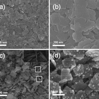 SEM Images Of A B LMP N And C D LMP S Download Scientific Diagram
