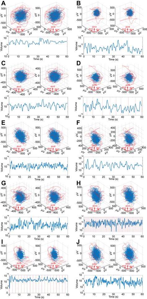 Different Brain Functions Have Cortical States Emerging From Fecat