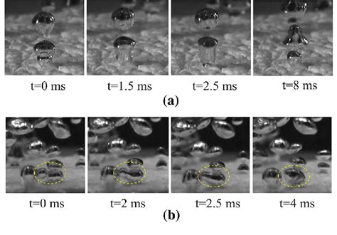 Coalescence Process Of Bubbles Near The Specimen Surfaces A Vertical