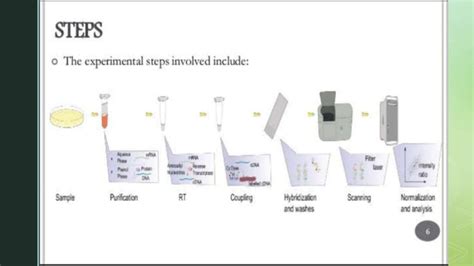 Dna Microarray Technique In Pathology Pptx