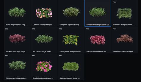 New Release 300 New Assets In D5 2 4 Sss Assets Backdrop Planes Hedges Water Particles