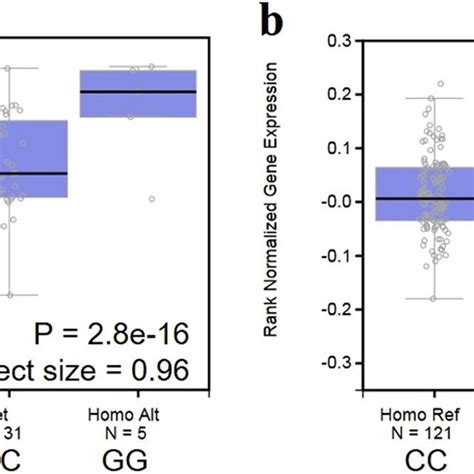 Expression Quantitative Trait Locus Eqtl Analysis Of Rs10902171 With