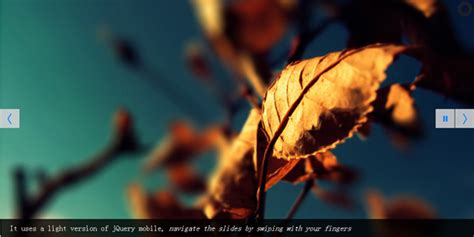 reactjs实现的轮播slider插件