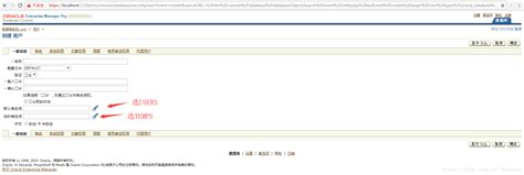Oracle 11g的enterprise Manager Console的使用oracle11g Enterprise Manager