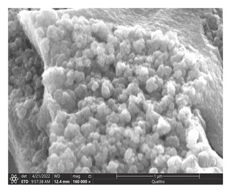 morphology of nio2 catalyst a sem b tem and c eds download