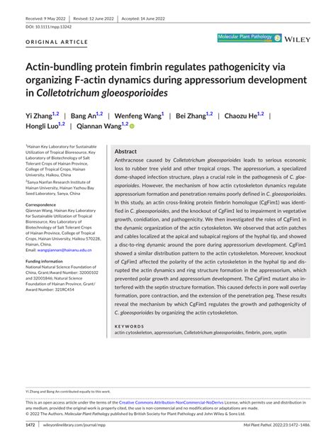 Pdf Actin‐bundling Protein Fimbrin Regulates Pathogenicity Via