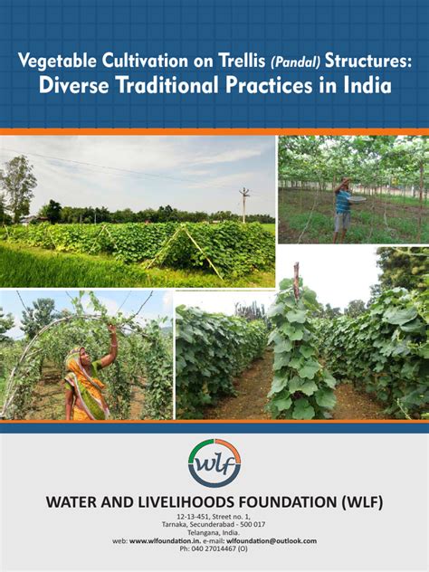 vegetable cultivation on trellis pandal structures pdf