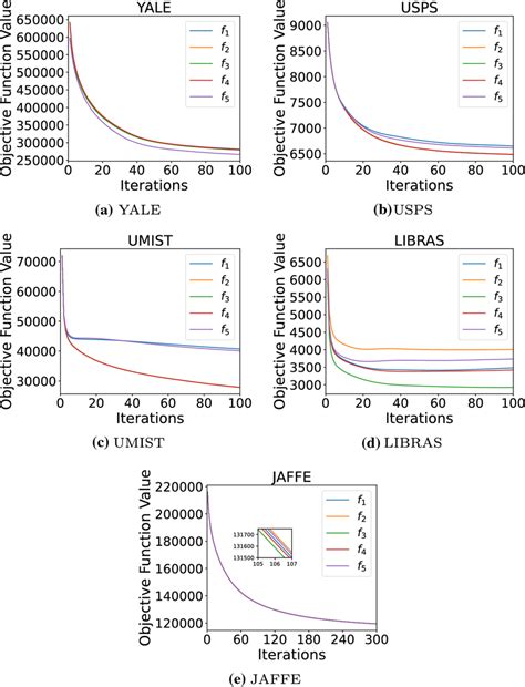convergence behaviors of the objective function value on five datasets