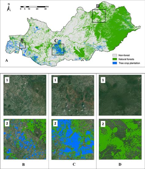 Shapelet Based Forest Mapping Product For The Landsat 8 Image March