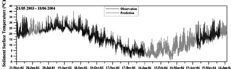 Comparison Between The Predicted And Observed Sediment Surface