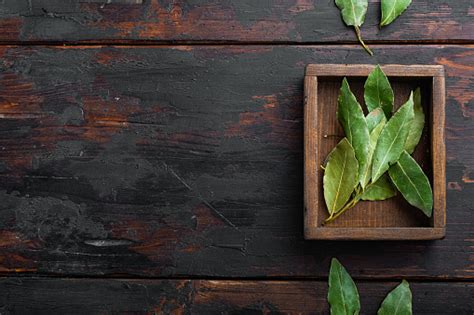 향기로운 유기 베이 잎 나무 상자에 오래된 어두운 나무 테이블 배경에 상단 보기 평면 누워 텍스트복사 공간 건강관리와 의술에