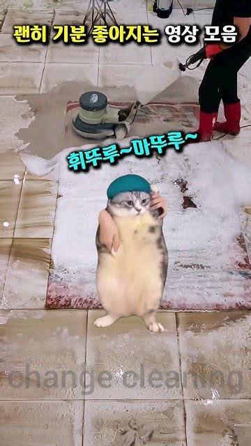 괜히 기분 좋아지는 영상 모음 Youtube