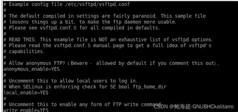 Linux：ftp服务 Vsftpdlinux Ftp Vsftp使用 Csdn博客