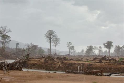 Devastating Laos Dam Collapse Leads To Deforestation Of Protected Forests