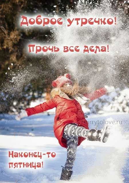Картинки с добрым зимним утром пятницы красивые и прикольные открытк Пожелания на утро Постила