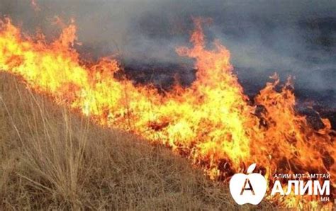 Сүхбаатар аймагт гарсан гал түймрийг өнөөдөр унтрааж амжлаа