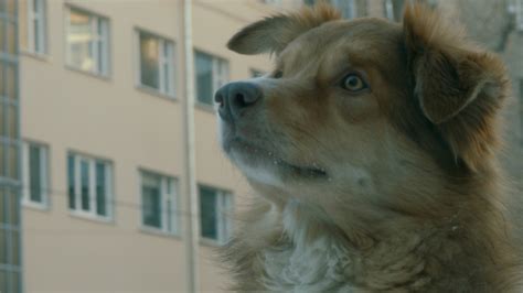 Фото Страна хороших деточек Кадр из фильма Страна хороших деточек