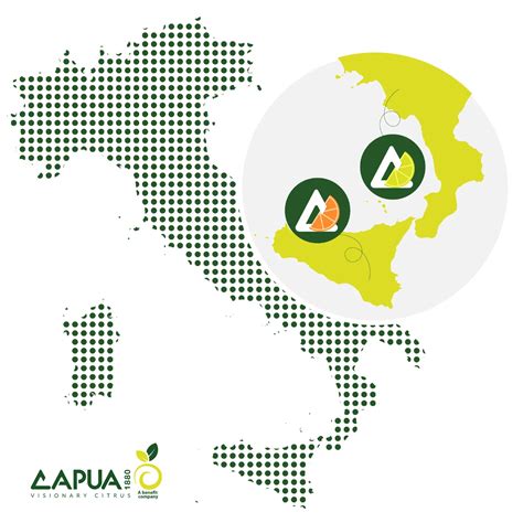 Production And Processing Of Italian Citrus Fruits Capua 1880