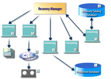 Recovery Manager Components RMAN DB Backup