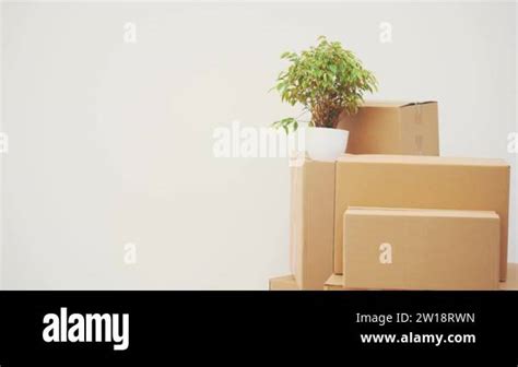Funny Young Man Is Appearing From Behind The Stack Of Cardboard Boxes Looking Around Raising