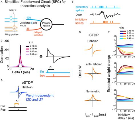 Frontiers Excitatory And Inhibitory Stdp Jointly Tune Feedforward