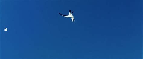 Videojs Overlay Buttons Npm