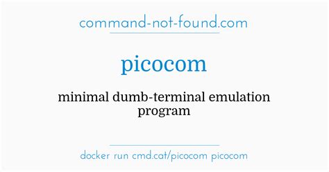 Command Not Picocom