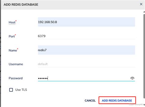 Redis 官方桌面客户端工具 可视化管理工具 Redis Insight 安装使用教程redisinsight使用 Csdn博客