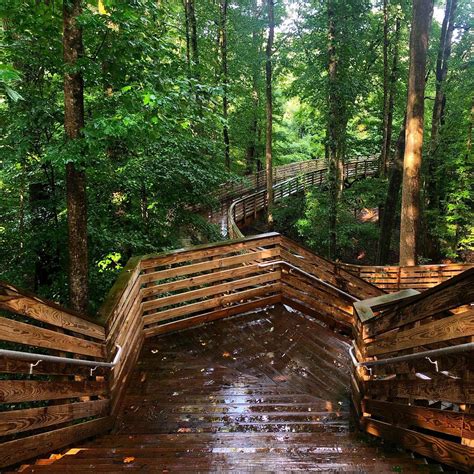 Forest Pictures Scrolller