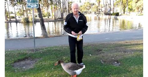 Патица се влюби в пенсионер