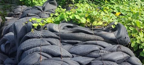 Galvanised Single Loop Ties With Twisted Loop On One End High Tensile 11 To 14 Gauge