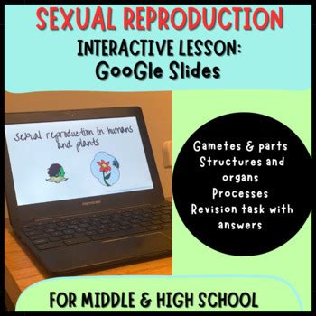 SEXUAL REPRODUCTION Human Plants Google Slides INTERACTIVE LESSON