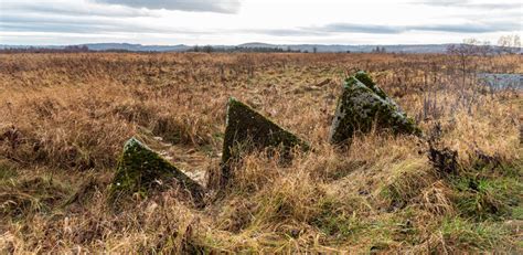 「libava」の写真素材 41件の無料イラスト画像 Adobe Stock