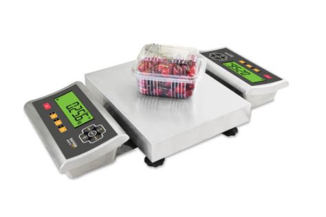 Bx21s Weighing Indicator Scale Link Automation Inc