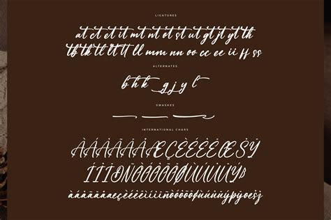Matthew Rustical Modern Freestyle Script By Letterena Studios TheHungryJPEG