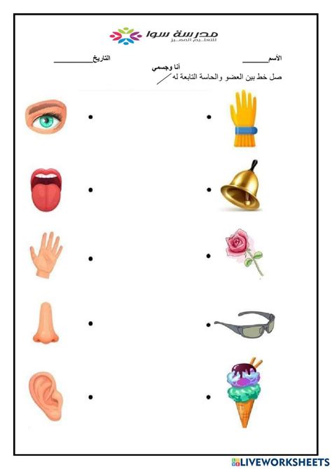علوم انا وجسمي Worksheet Live Worksheets