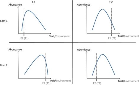 Thought Experiment Demonstrating The Benefits Of A Spatiotemporal