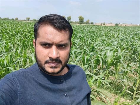 Muhammad Talha Sajjad On Linkedin Maize Seedproduction Armyfallworm