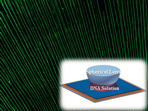 Home The Lin Research Group