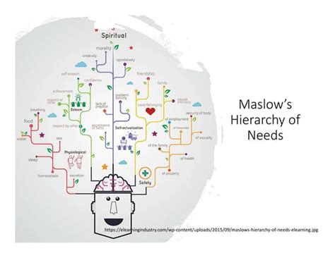 The Secret Sauce Of Team Symphony Pdf