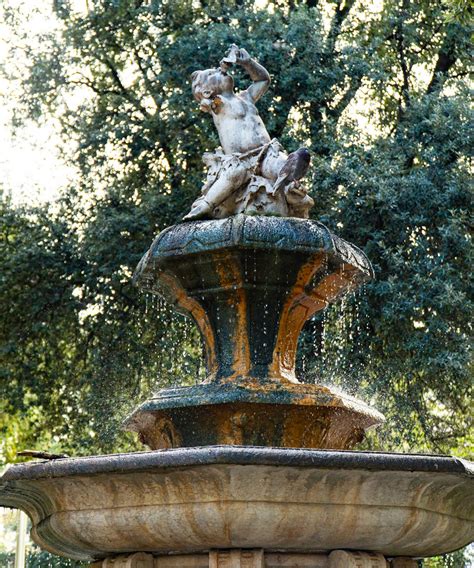 How To Fix Split Screen Not Working On BO3 PC DragGAN AI Tool