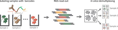 General Procedures Of Sample Multiplexing For Scrna‐seq Cells From